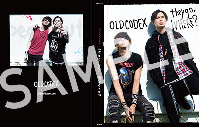 OLDCODEX | Artist | Lantis web site